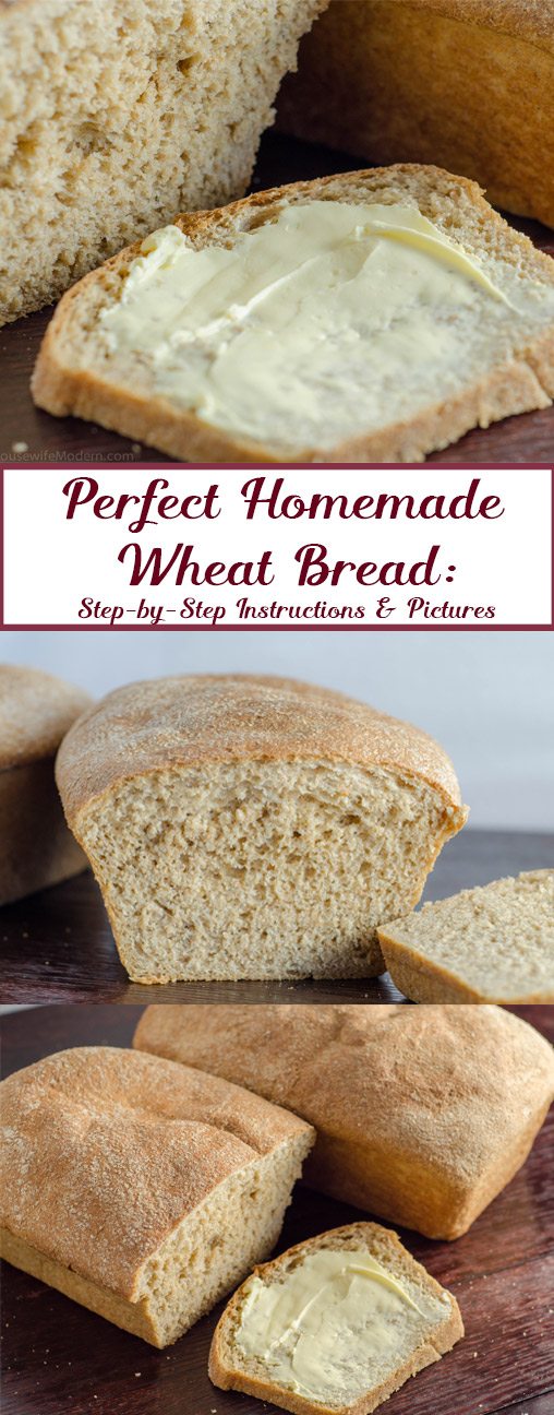 Perfect Homemade Wheat Bread (& it works for sandwiches!)