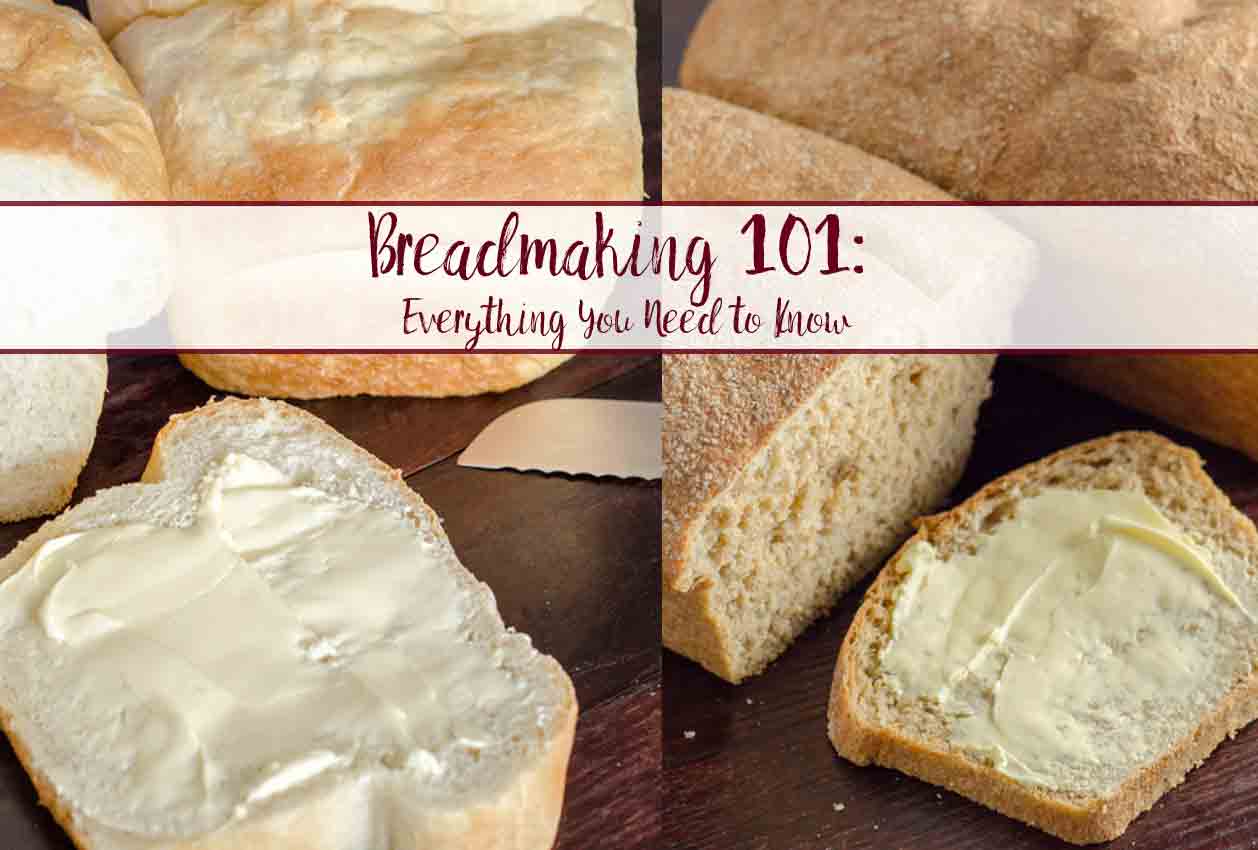 Bread Making 101: How to Make Bread, Everything You Need to Know